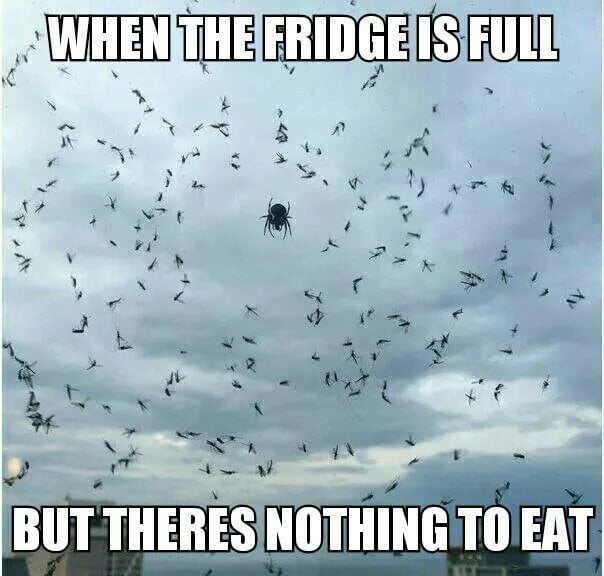 First world problems - 9GAG