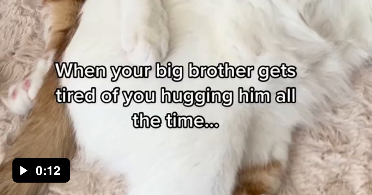 Sad cat noises - 9GAG