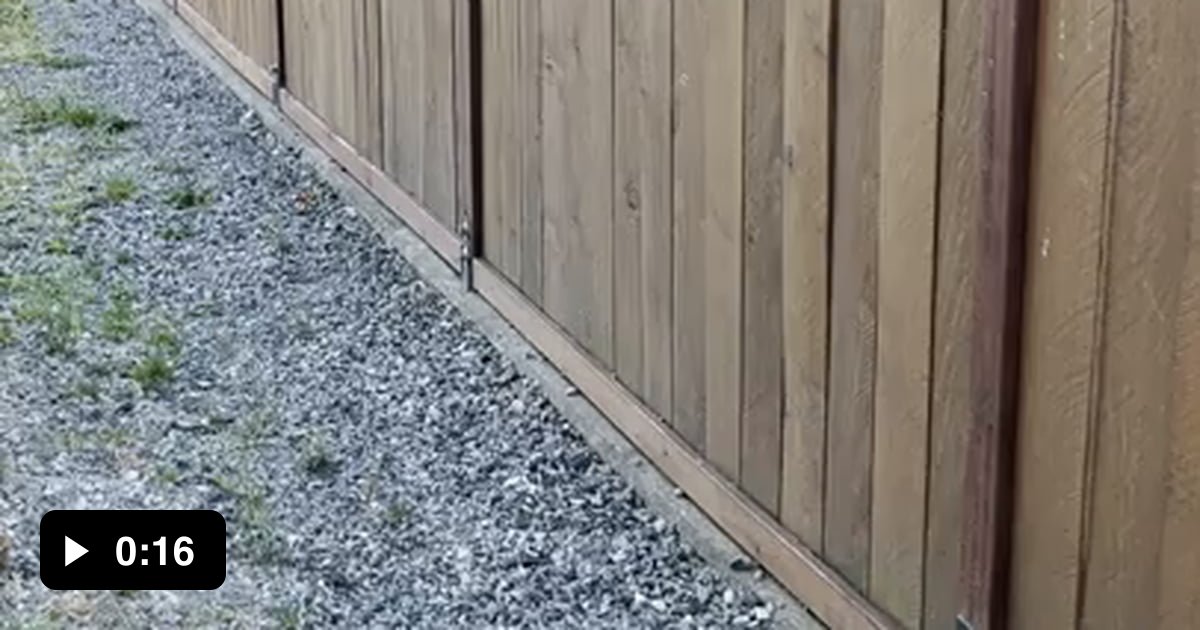 Angie yelling for love and nearly falling off fence - 9GAG