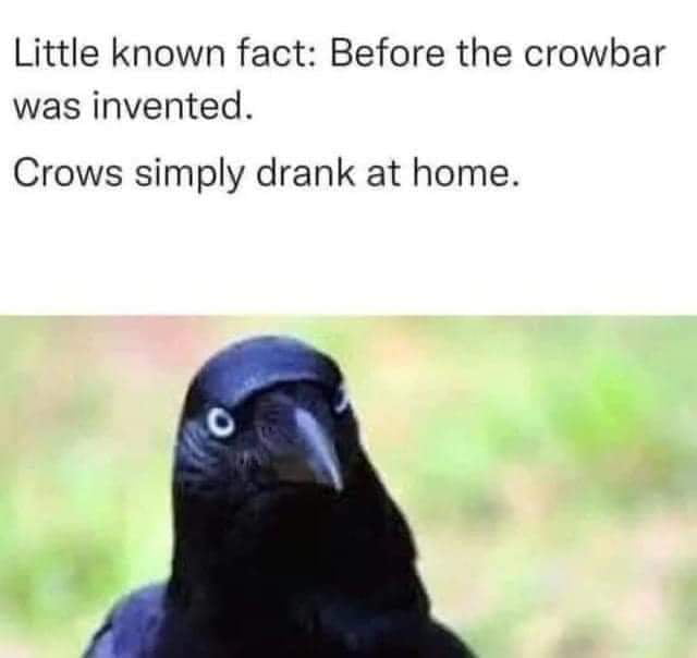 Crow of judgment - 9GAG