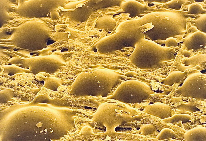 Sticky surface yellow post-it under a electron microscope - 9GAG