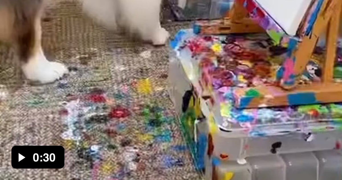 Ehm wtf how smart are they - 9GAG