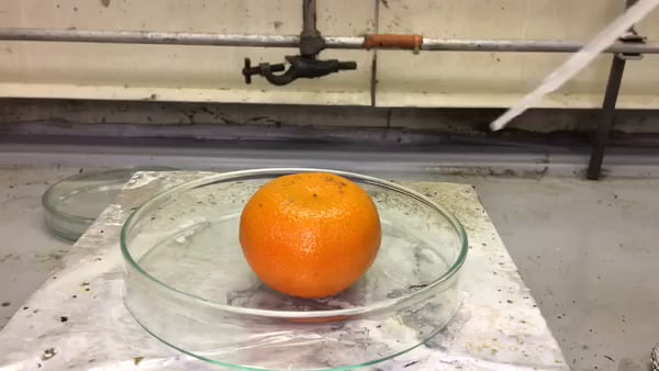 Strongest Acid in the world (Carborane Superacid) vs an Orange - 9GAG