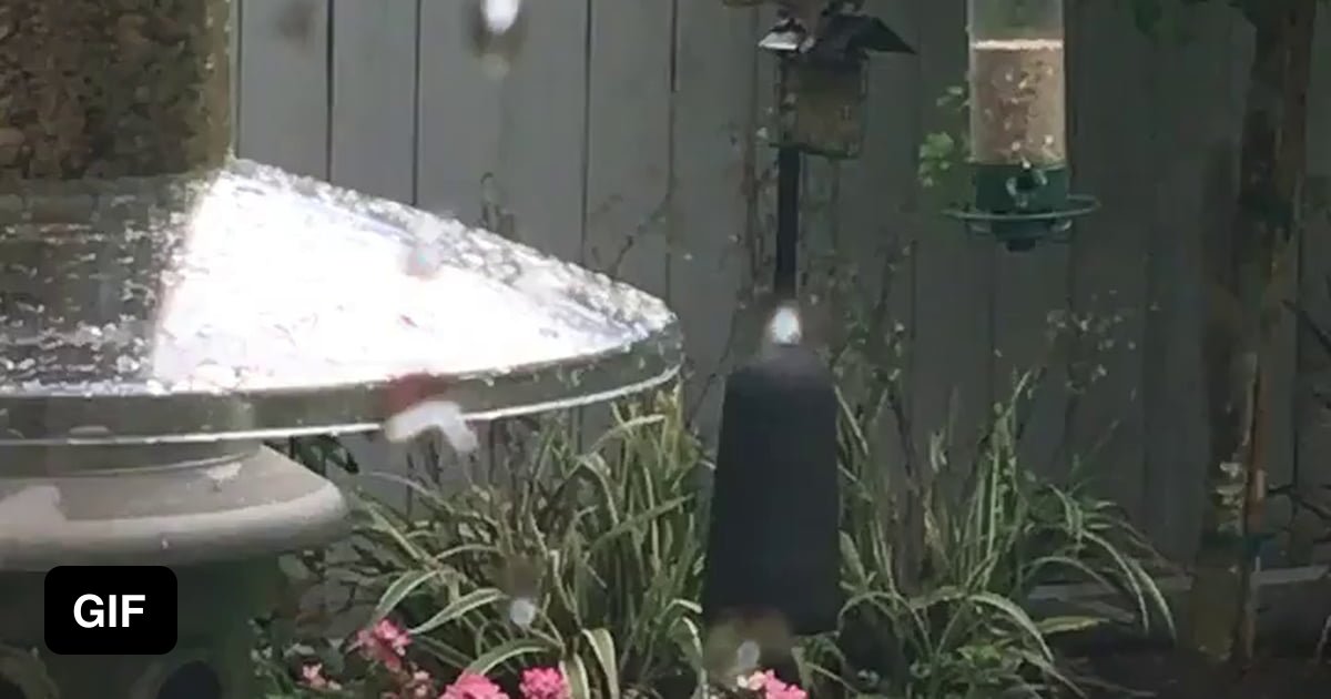 Almost there... almost there... oh shiiiiiit! - 9GAG