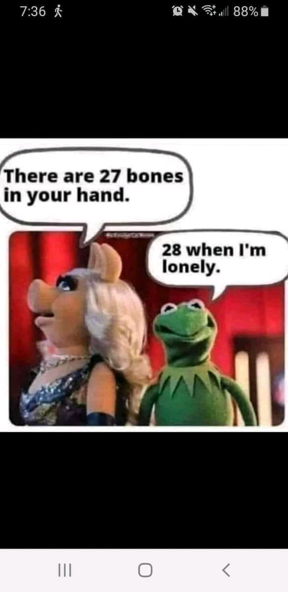 27 bones - 9GAG