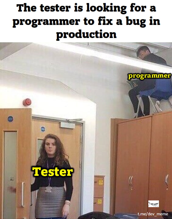 The tester is looking for a programmer to fix a bug in production - 9GAG