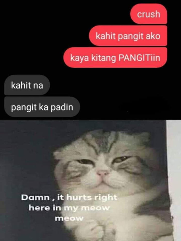 Edi meow - 9GAG