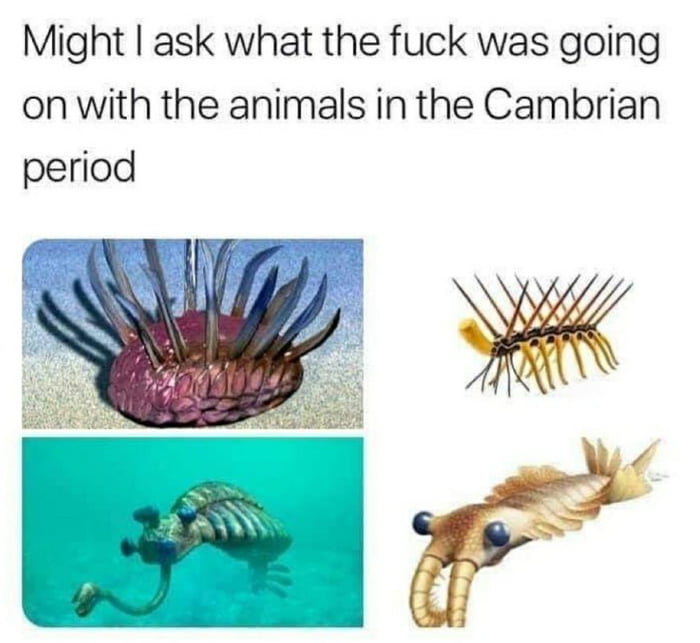 Evolution sucks... - 9GAG