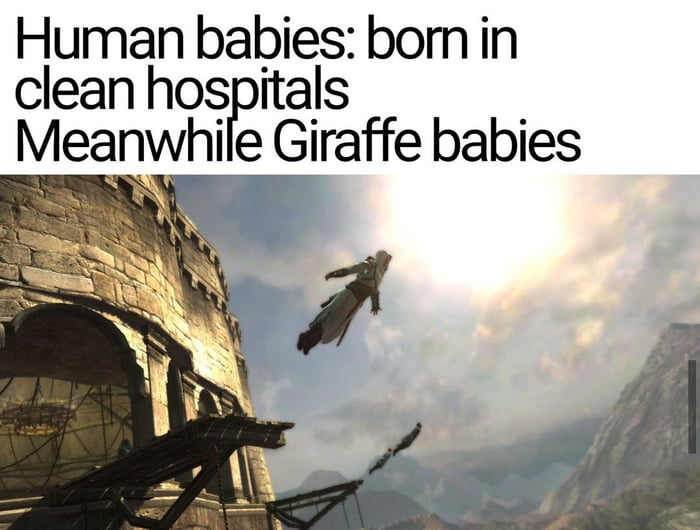 And they also backflip - 9GAG