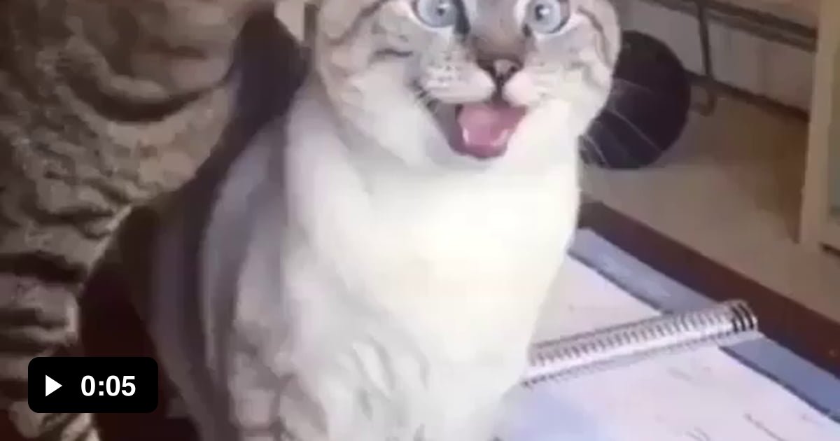 Lol did the derp face - 9GAG