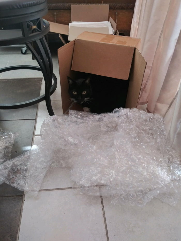 The bubbles had been inside the box, which had been on top of a stack ...