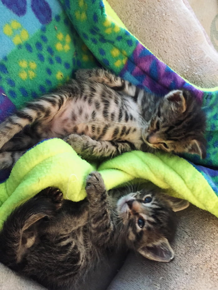 That belly loves zerberts - 9GAG