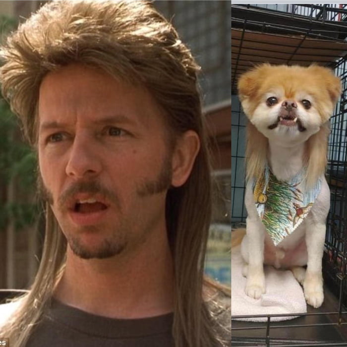 Seeing double - 9GAG