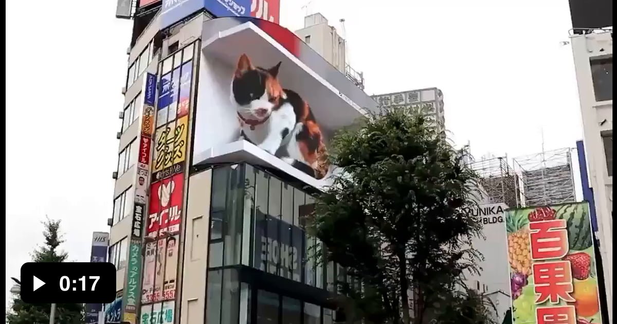 4K, 3D screen in Tokyo - 9GAG