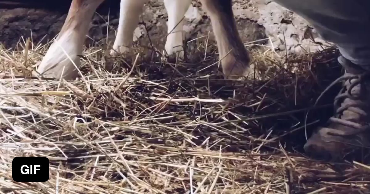 Stop looking at the camera and pay attention to me! - 9GAG