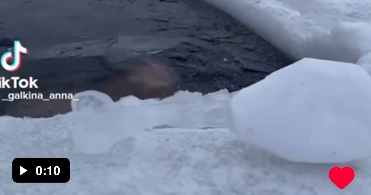 Ice chicken - nice chicken - 9GAG