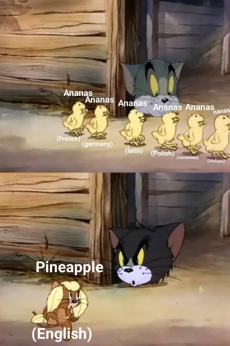 Ananas - 9GAG