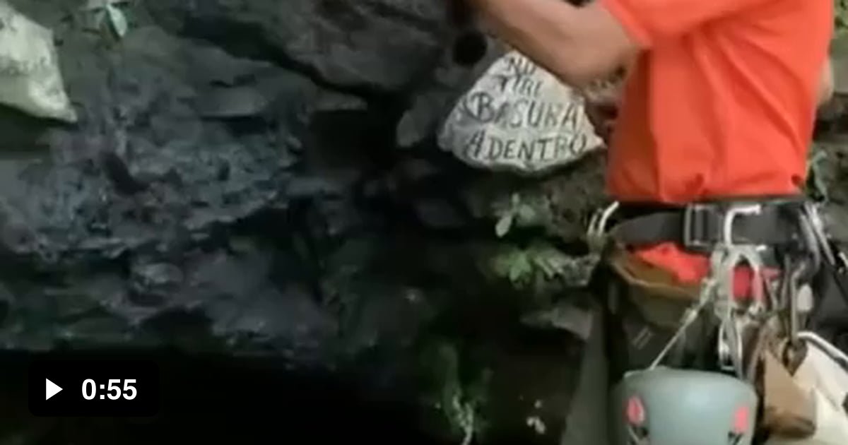 Costa Rica's Cave of Death is a stable pool of nearly 100% fatal carbon ...