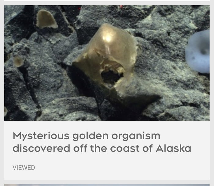 Sounds like the plot of a few alien movies - 9GAG