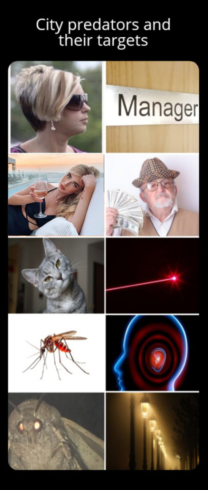 I hate mosquitos. - 9GAG