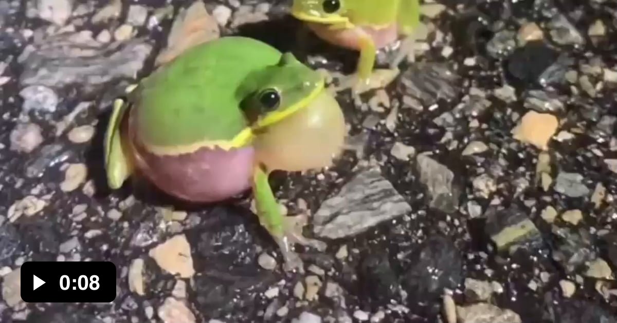 Beep boop beep - 9GAG