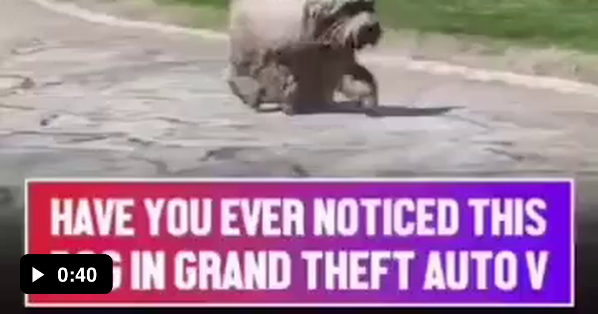 Goodest doggo - 9GAG