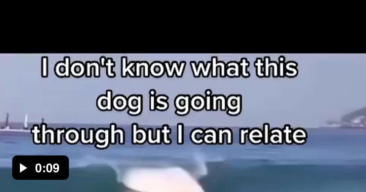 Me too dog, me too - 9GAG