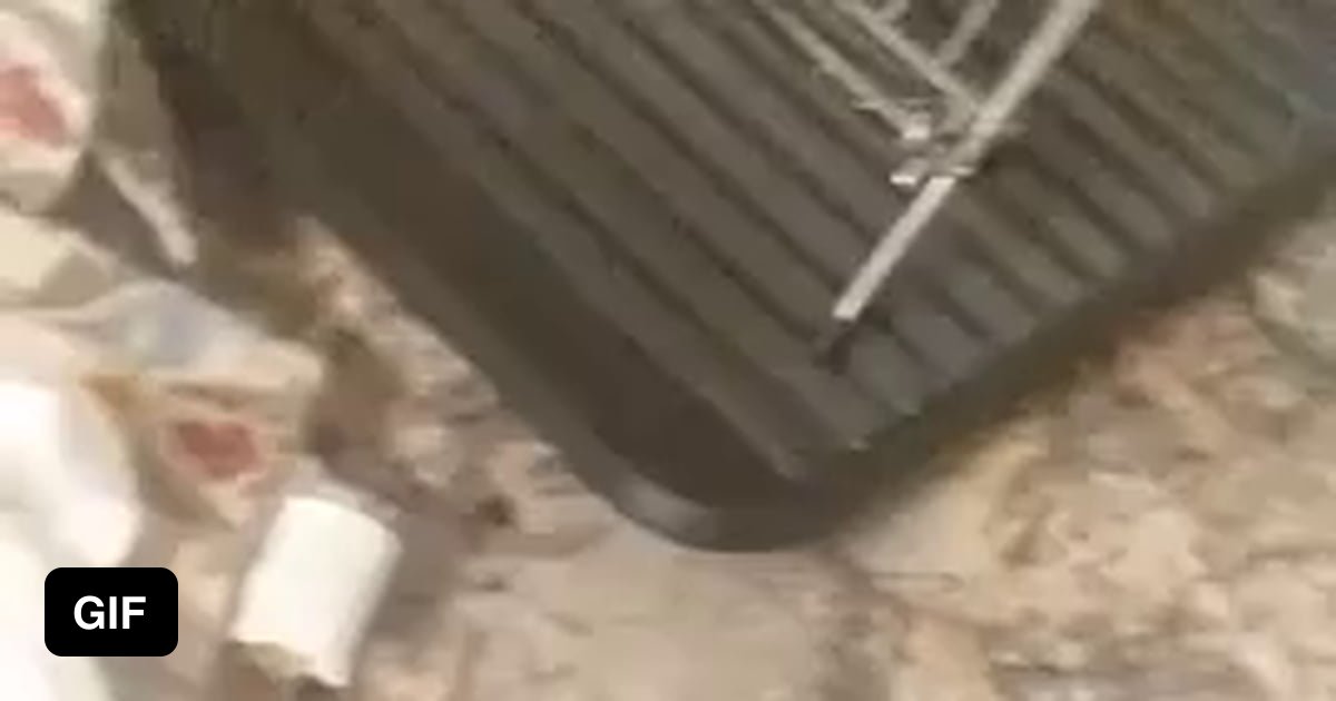 Tippy taps for food - 9GAG