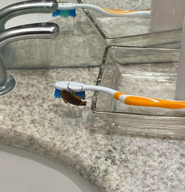 Time for a new toothbrush - 9GAG