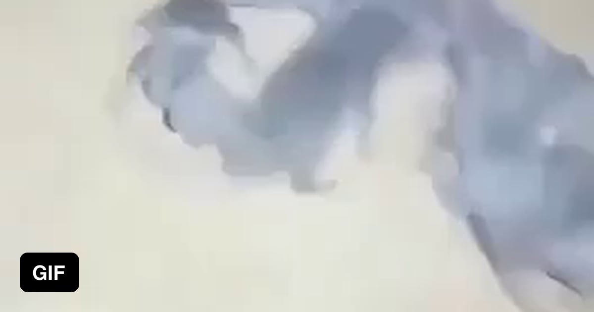 Infinity Loop Rat - 9GAG