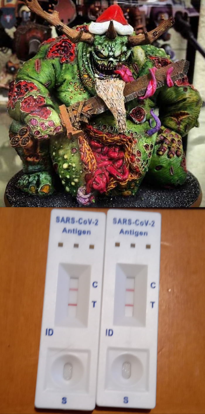 Papa santa nurgle has blessed me with his gift for this new year lucky ...