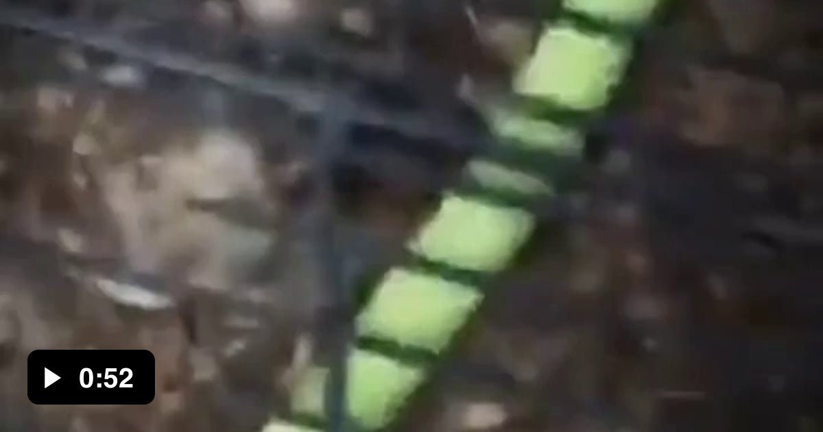 Skinwalker Skinwalking - 9GAG