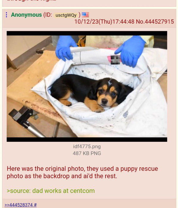 Real Photo of Israel published AI generated photo of burnt-charred baby ...