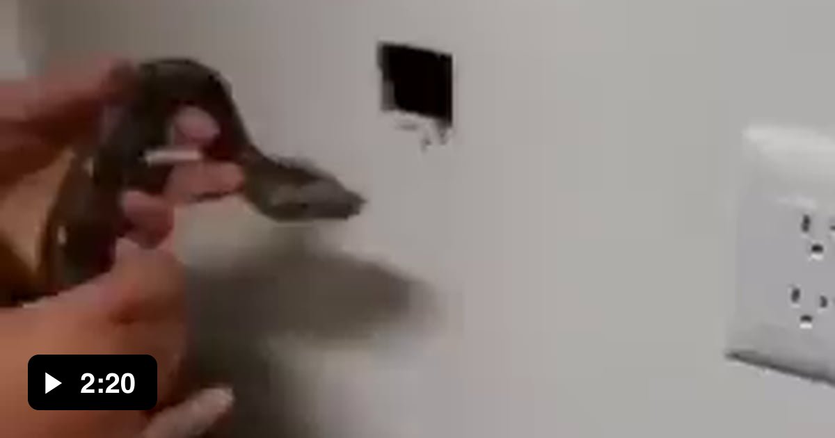 Use Snek for Best Results - 9GAG