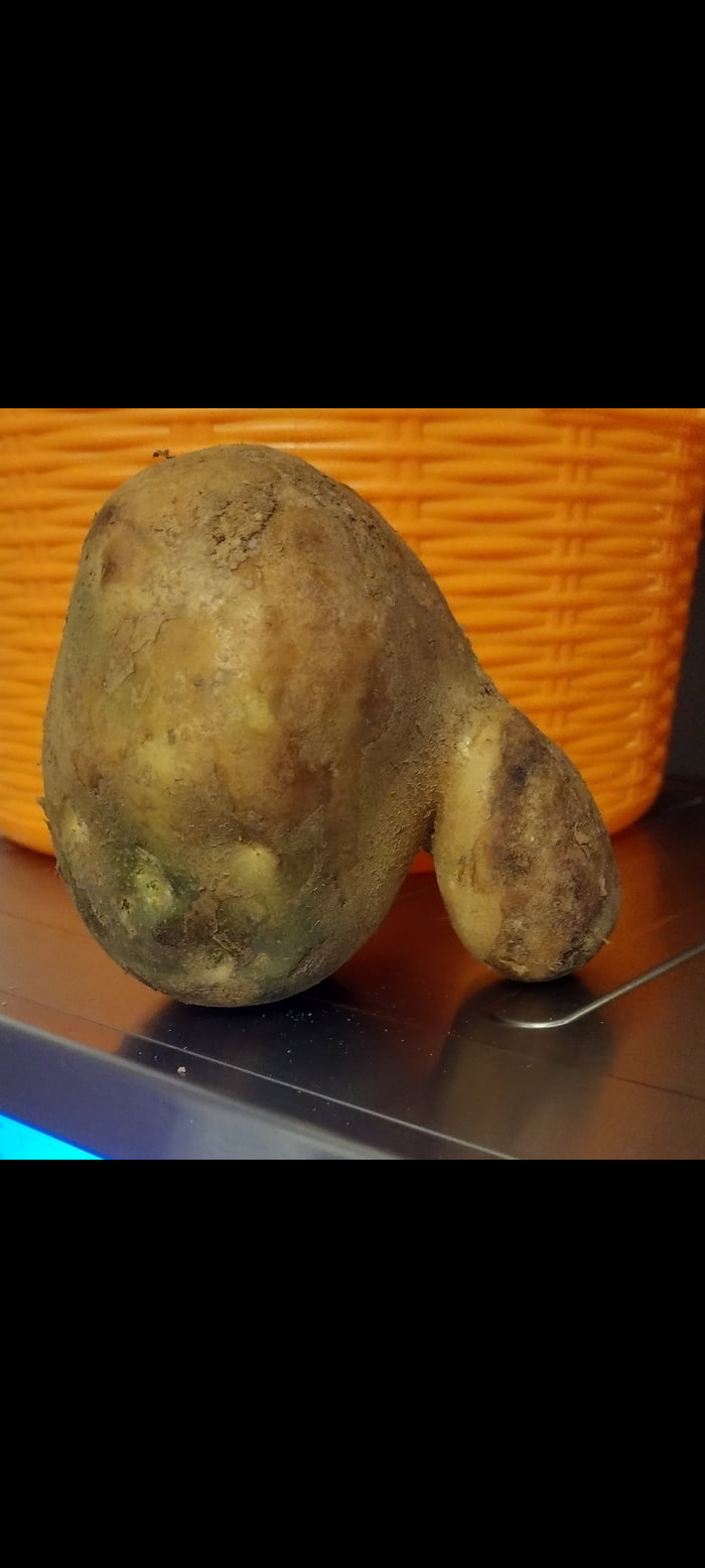 Odd potato - 9GAG