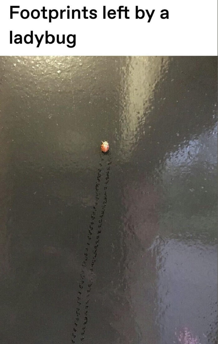 Teeny tiny tippy taps - 9GAG