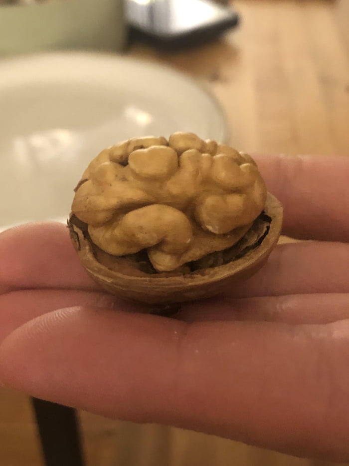 This Walnut is Too Perfect - 9GAG