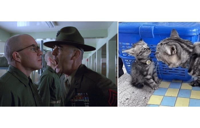 Find 10 differences - 9GAG