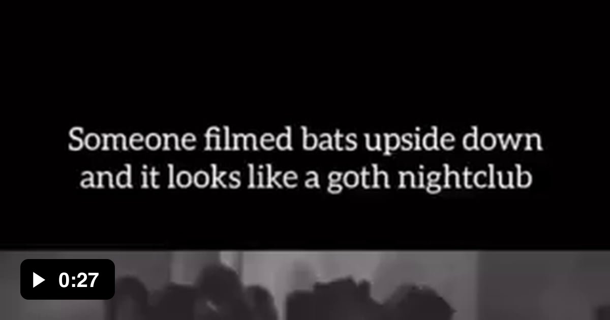 Goth Nightclub 9gag