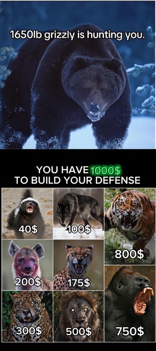 Build your defense - 9GAG