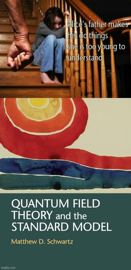 Too young to understand (Quantum Field Theory and the Standard Model-Matthew D. Schwartz meme ...