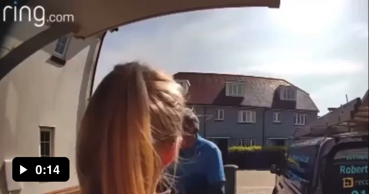 Woman saves dog falling out window! - 9GAG