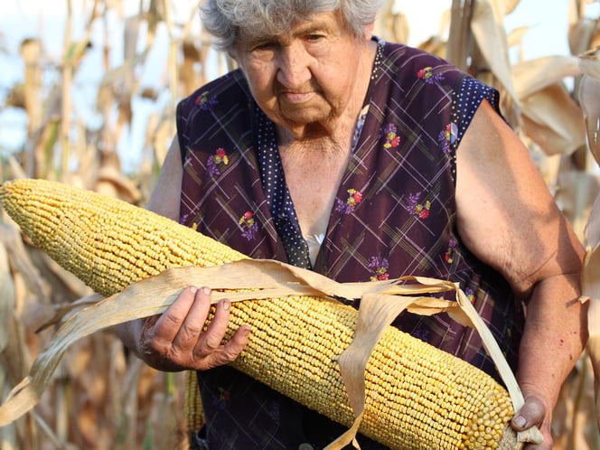 This wonderful woman and her corn. - 9GAG