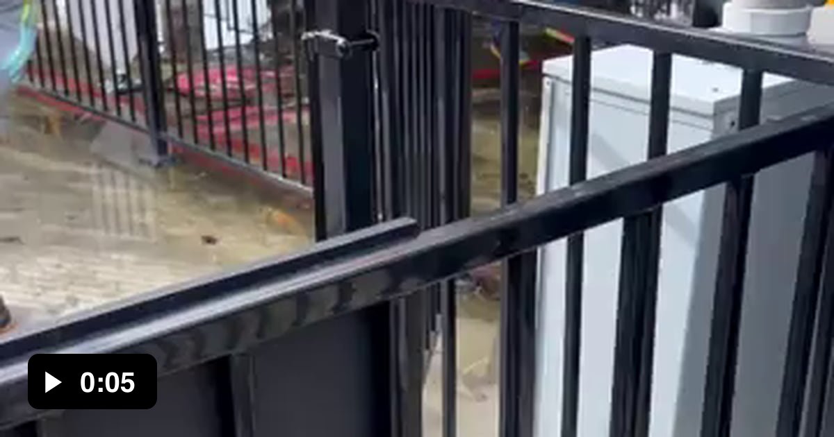 Parents reaction to finding out their kids are missing after leaving ...