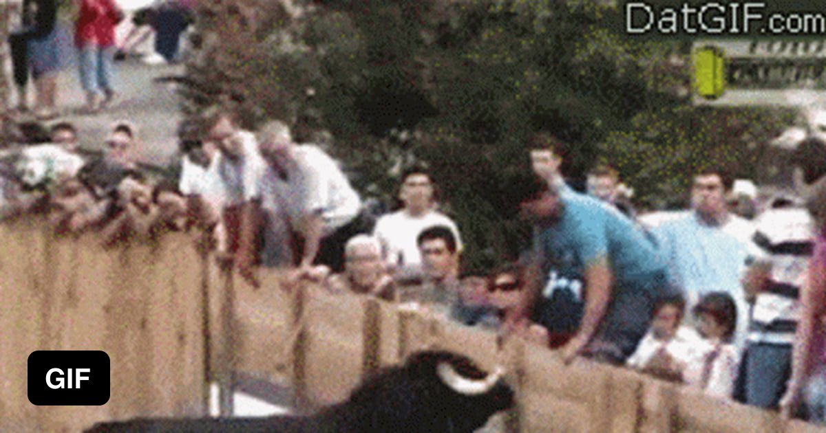 A load of Bull - 9GAG