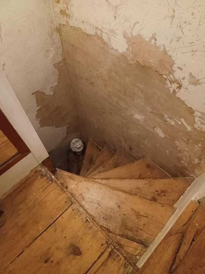 Staircase Demon. Waiting to curse your feet. Don't forget to ...