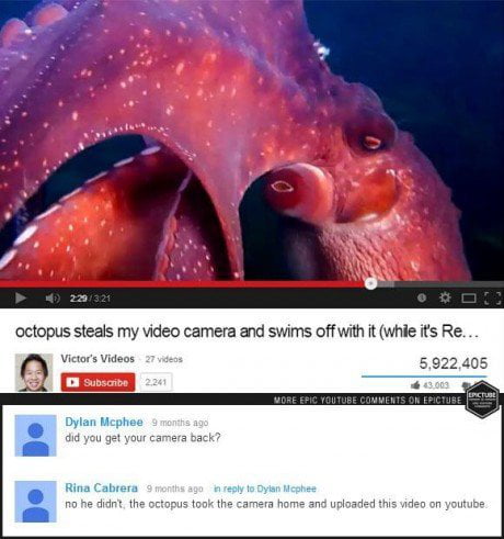 Squids are extremely intelligent - 9GAG