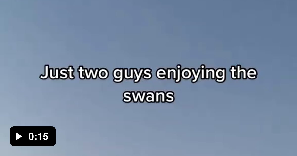 Average Pro Users... - 9GAG