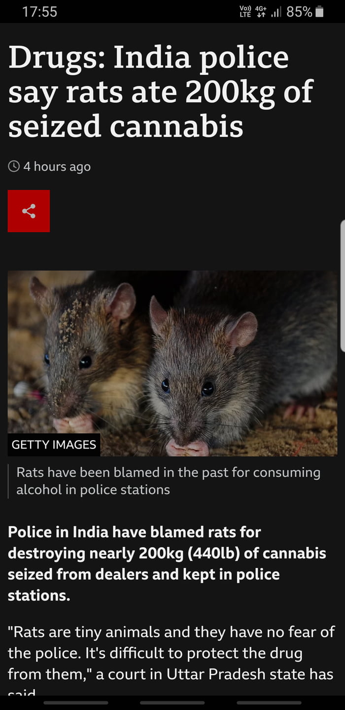 *Red eyes* Yes Sir. Rats ate all the pot. - 9GAG