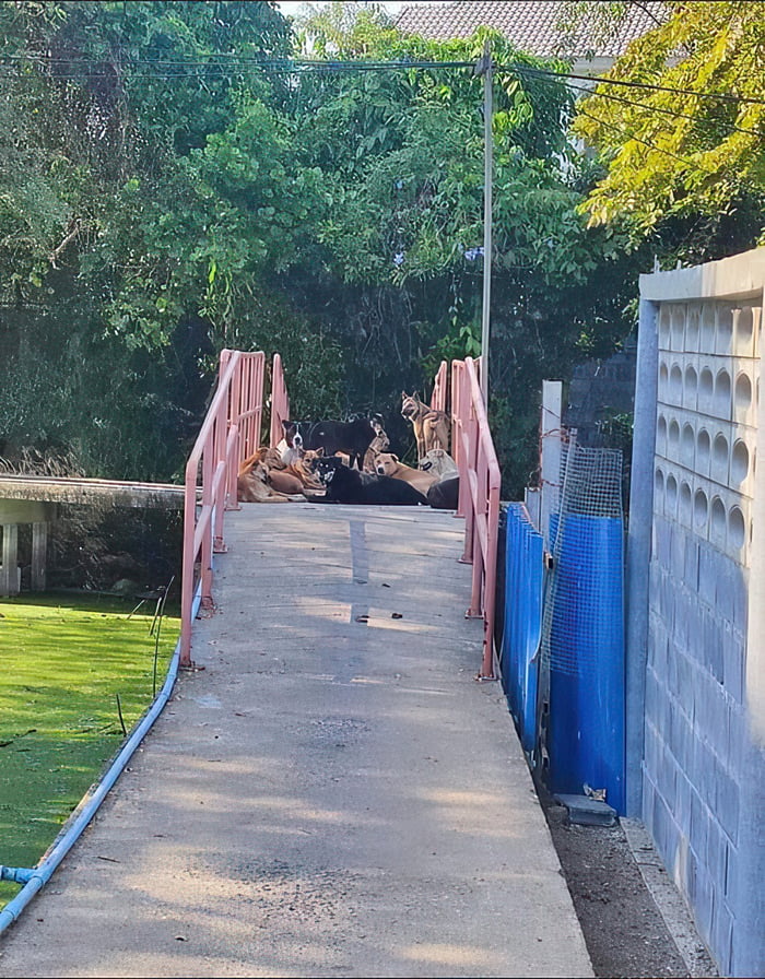 The path require sacrifice - 9GAG